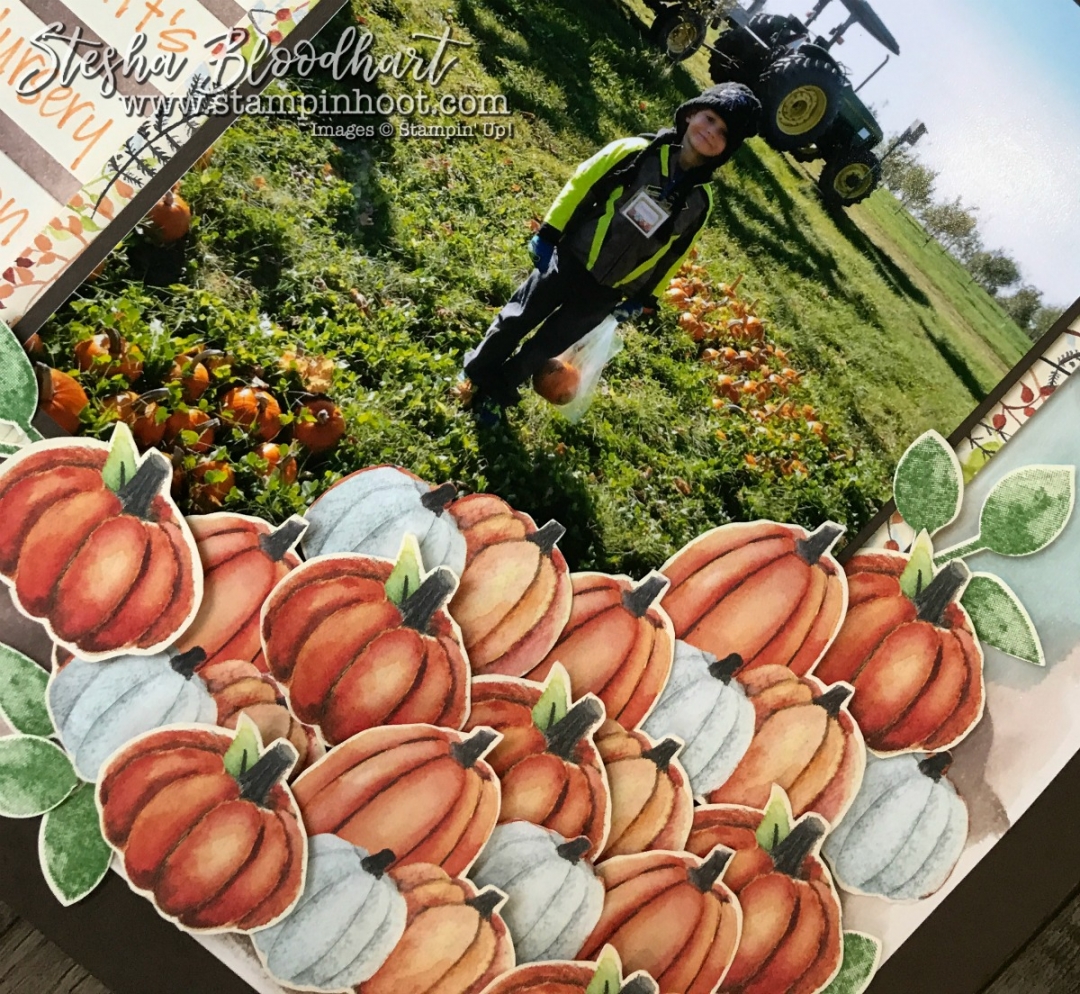 Scrapbook Sunday : Painted Autumn DSP Sneak Peek - Stampin' Hoot