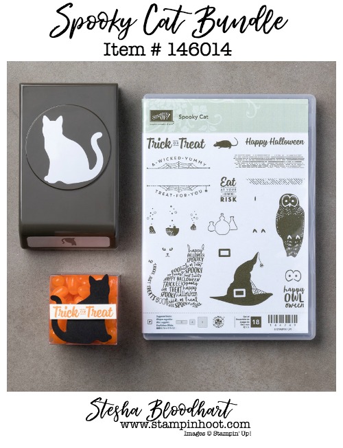 The Stamp Review Crew Brings Spooky Cat - Stampin' Hoot