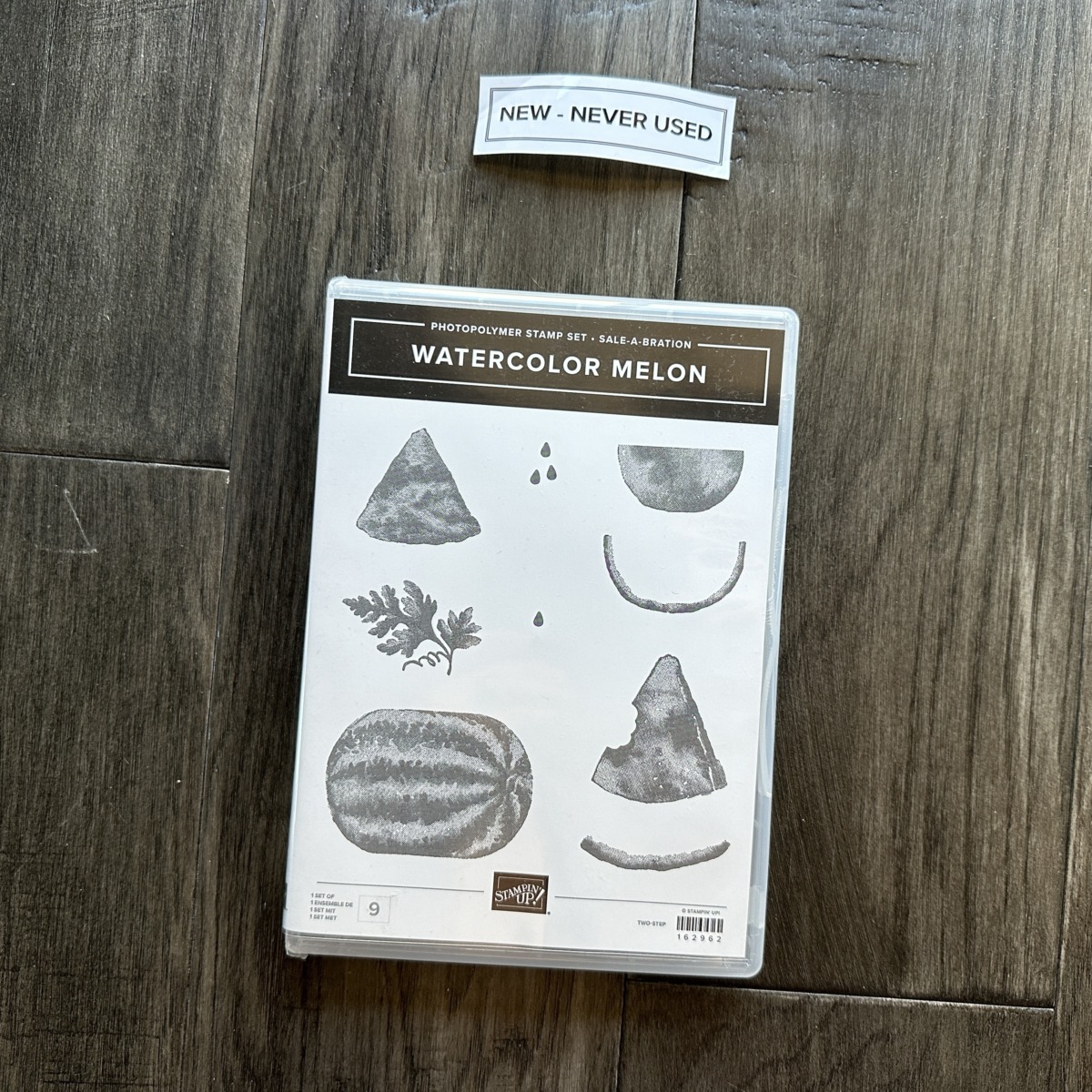 Watercolor Melon Photopolymer Stamp Set - NEW - 162962 - Stampin' Hoot